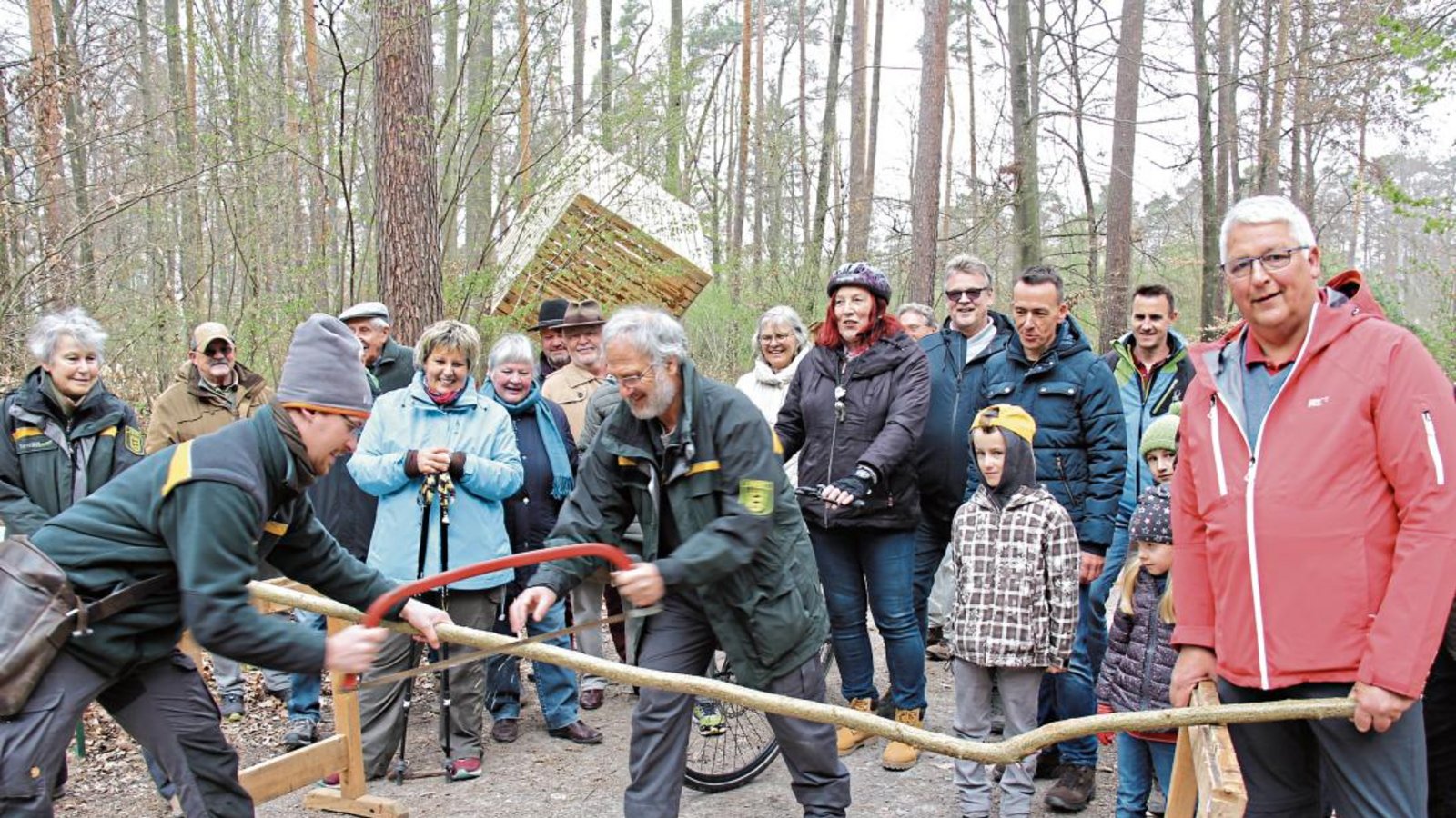 Unterhaltsamer Blick auf das System Wald