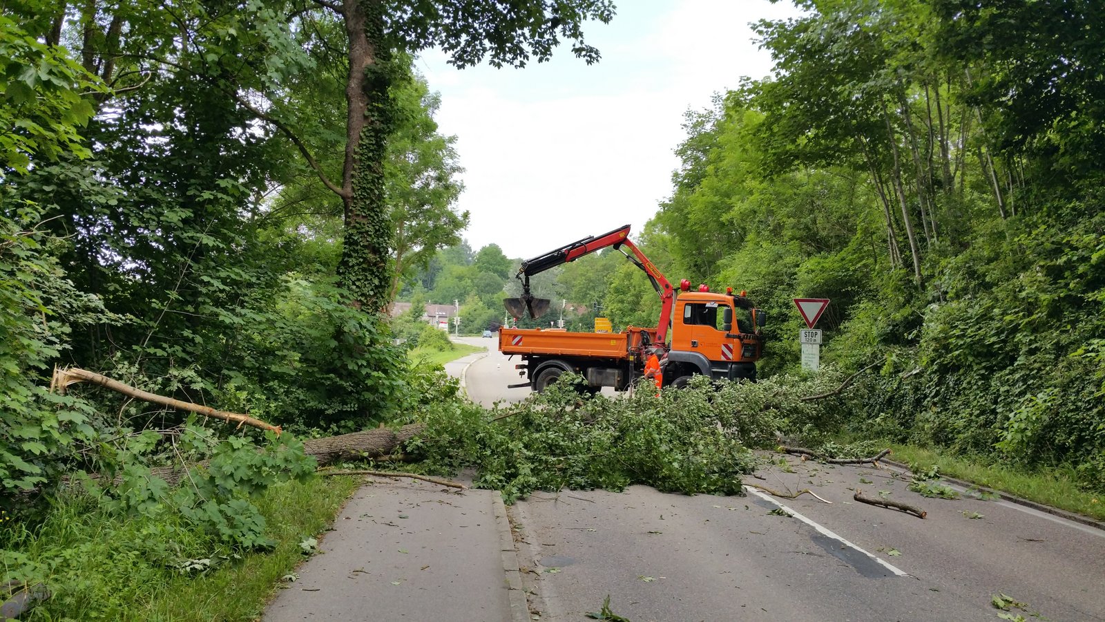 Umgestürzter Baum versperrt Straße in Vaihingen