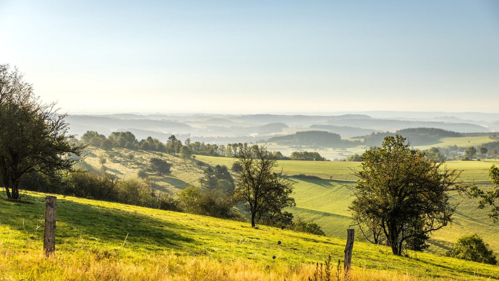 In der Eifel die Natur erleben