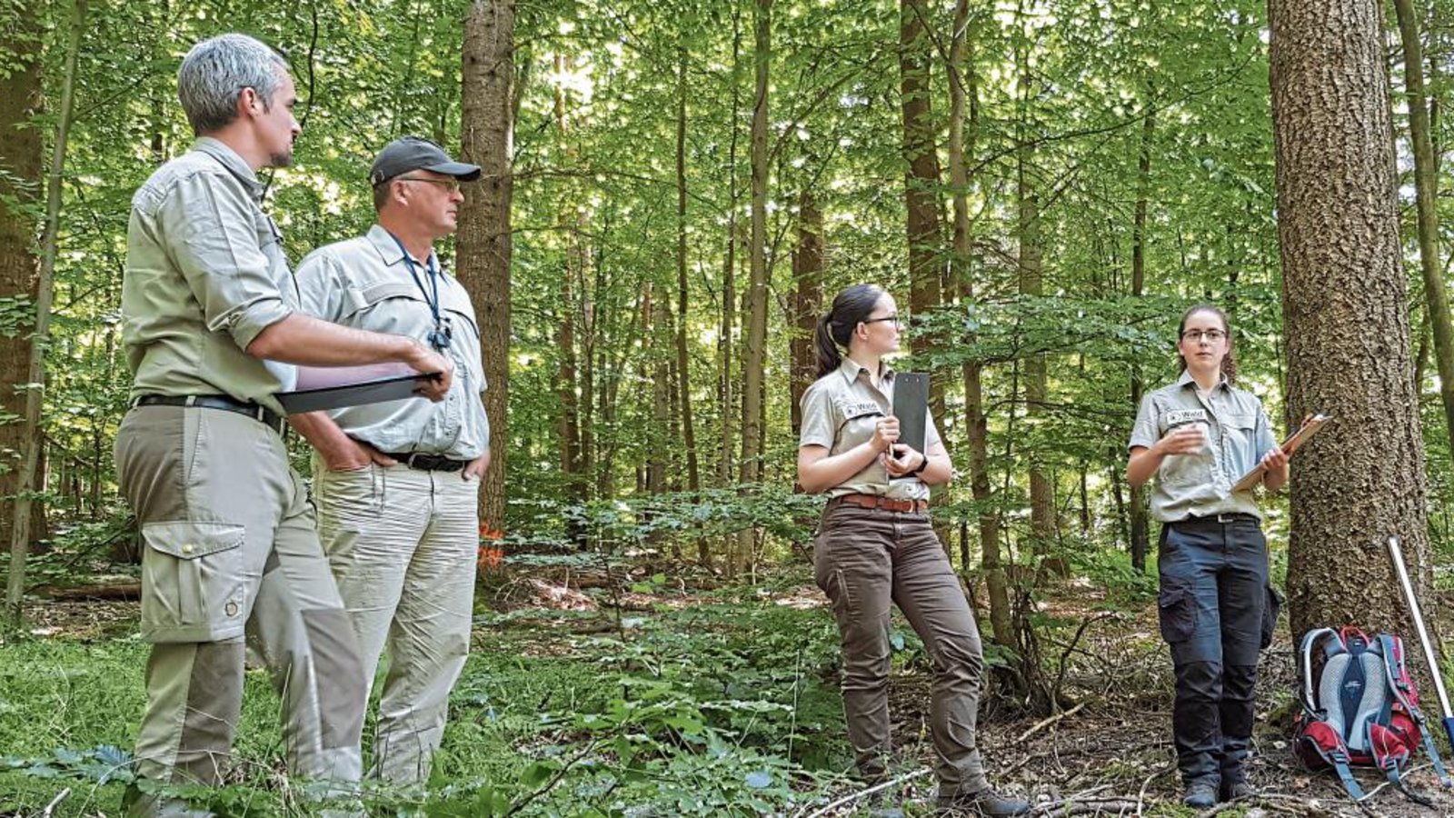 Eine Herausforderung für die Förster