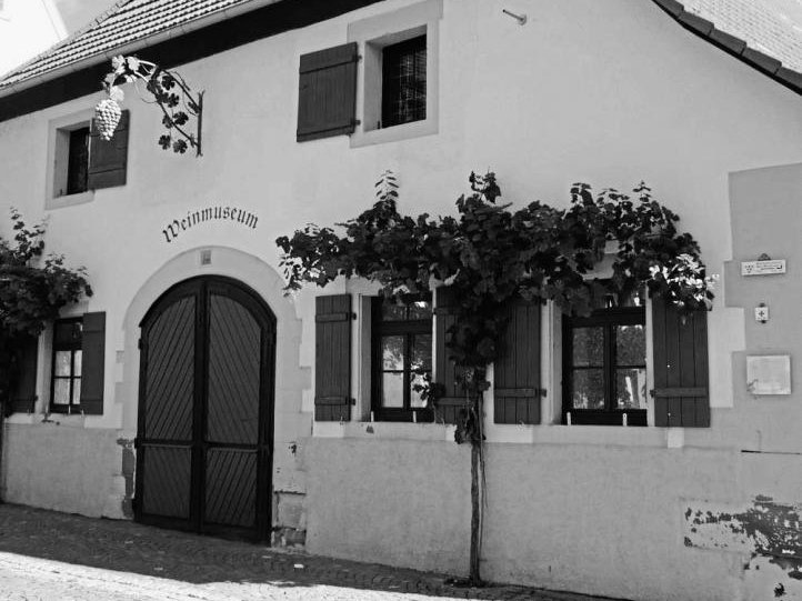 Die Arbeit der Wengerter