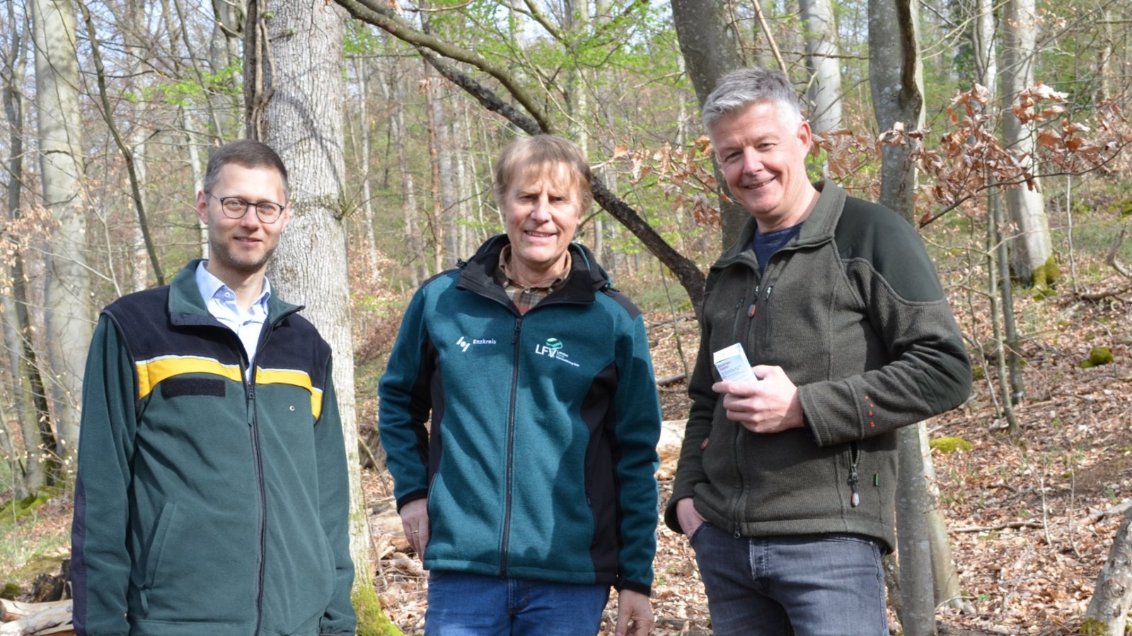 Wildkatze fühlt sich im Enzkreis wohl