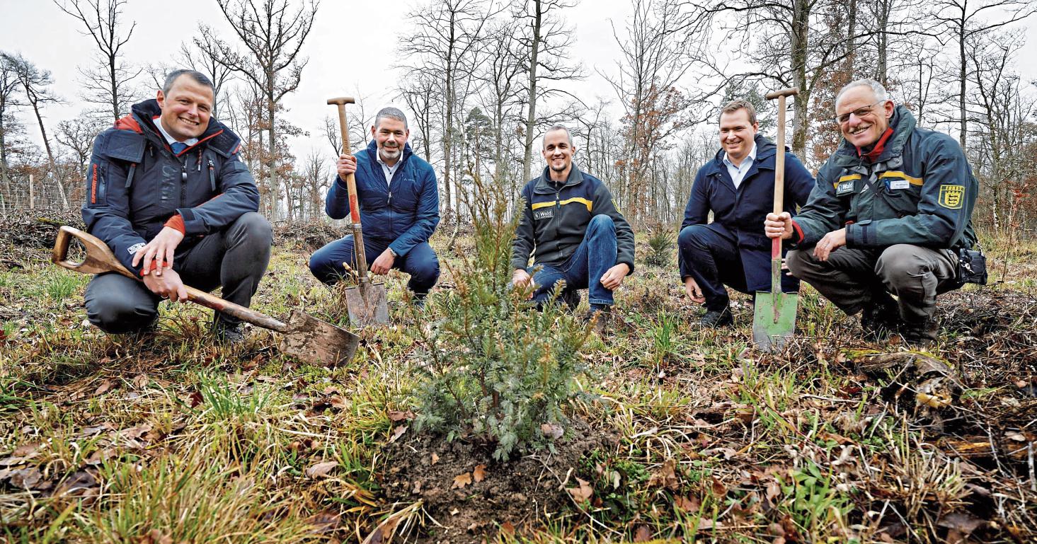 2500 Bäume für die Region