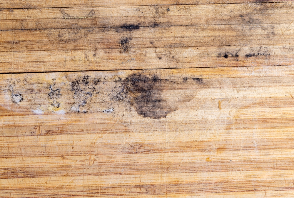 Schimmel von Holz entfernen - 9 hilfreiche Tipps