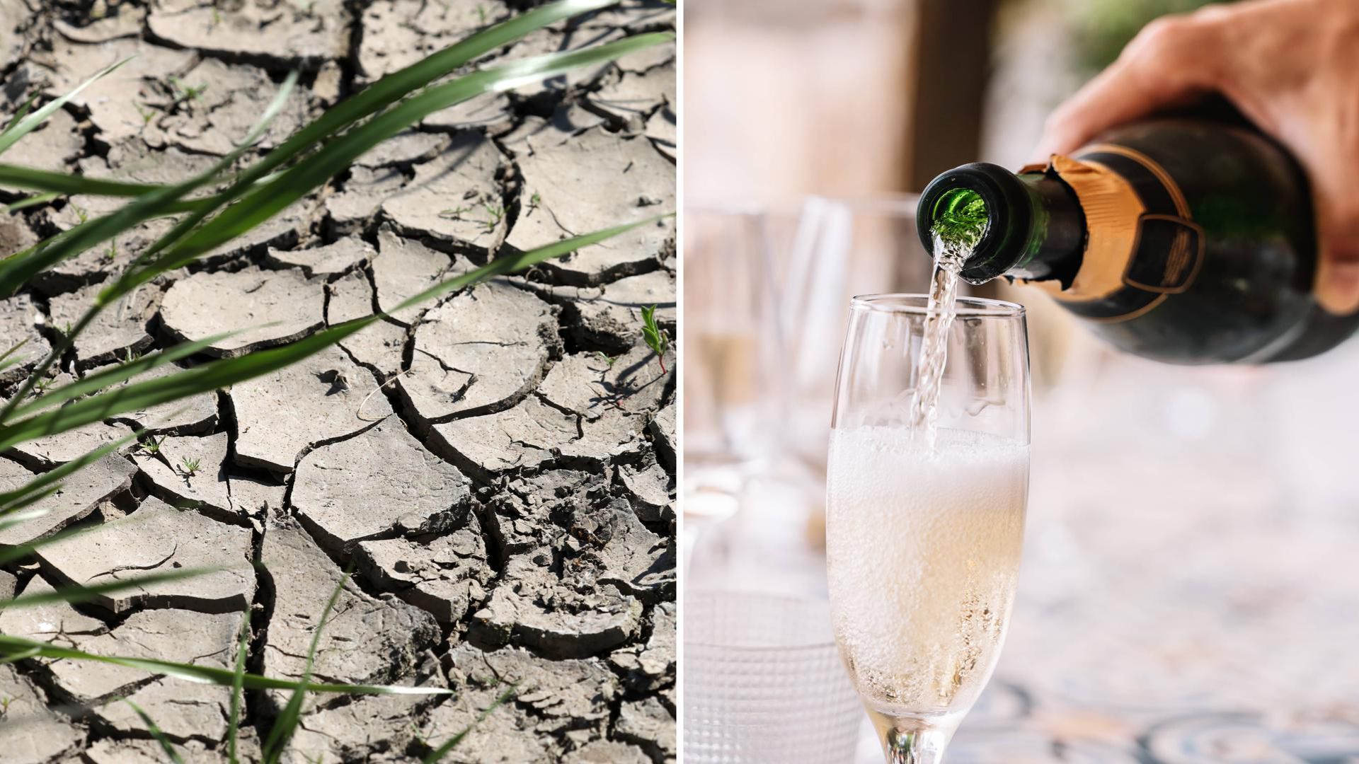 Studie: Die reichsten zehn Prozent sind für zwei Drittel der ...